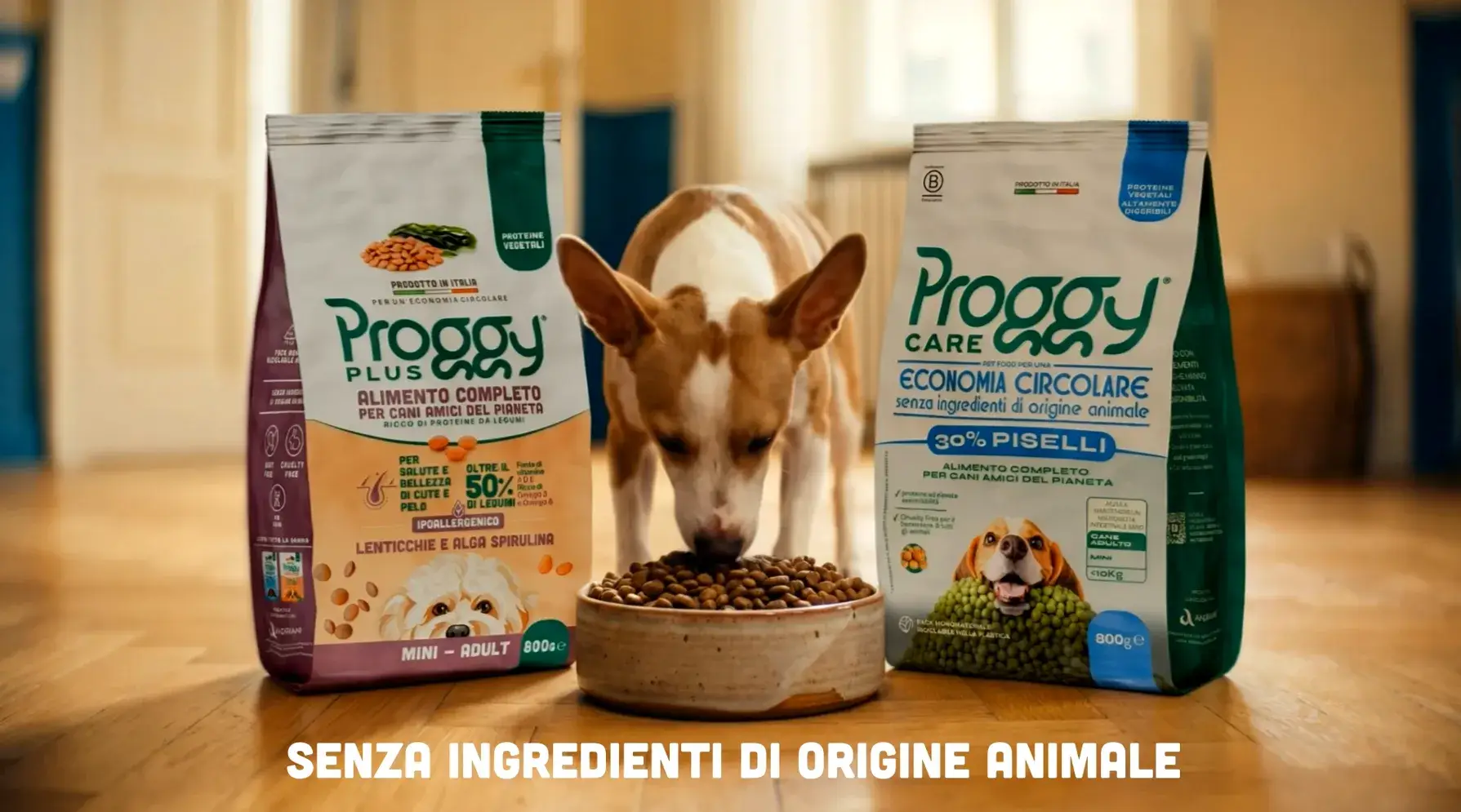Proggy - Pet food per una economia circolare